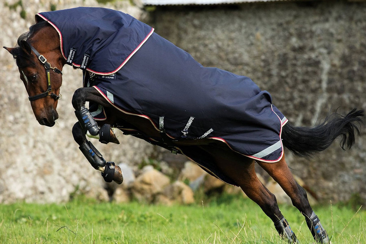 Pre-loved rugs and hoods – ROBYN'S TACK ROOM