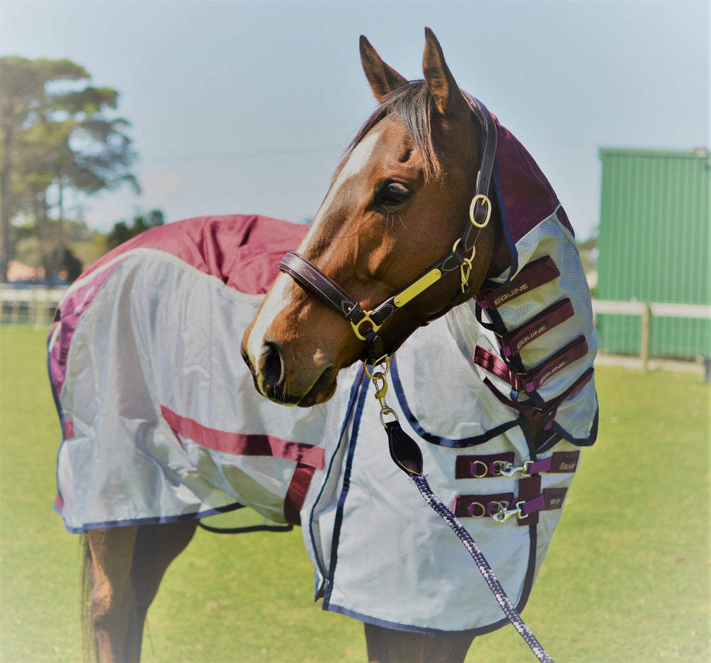 Robyn's Tack Room - Equestrian gear - Premier Equine – ROBYN'S TACK ROOM