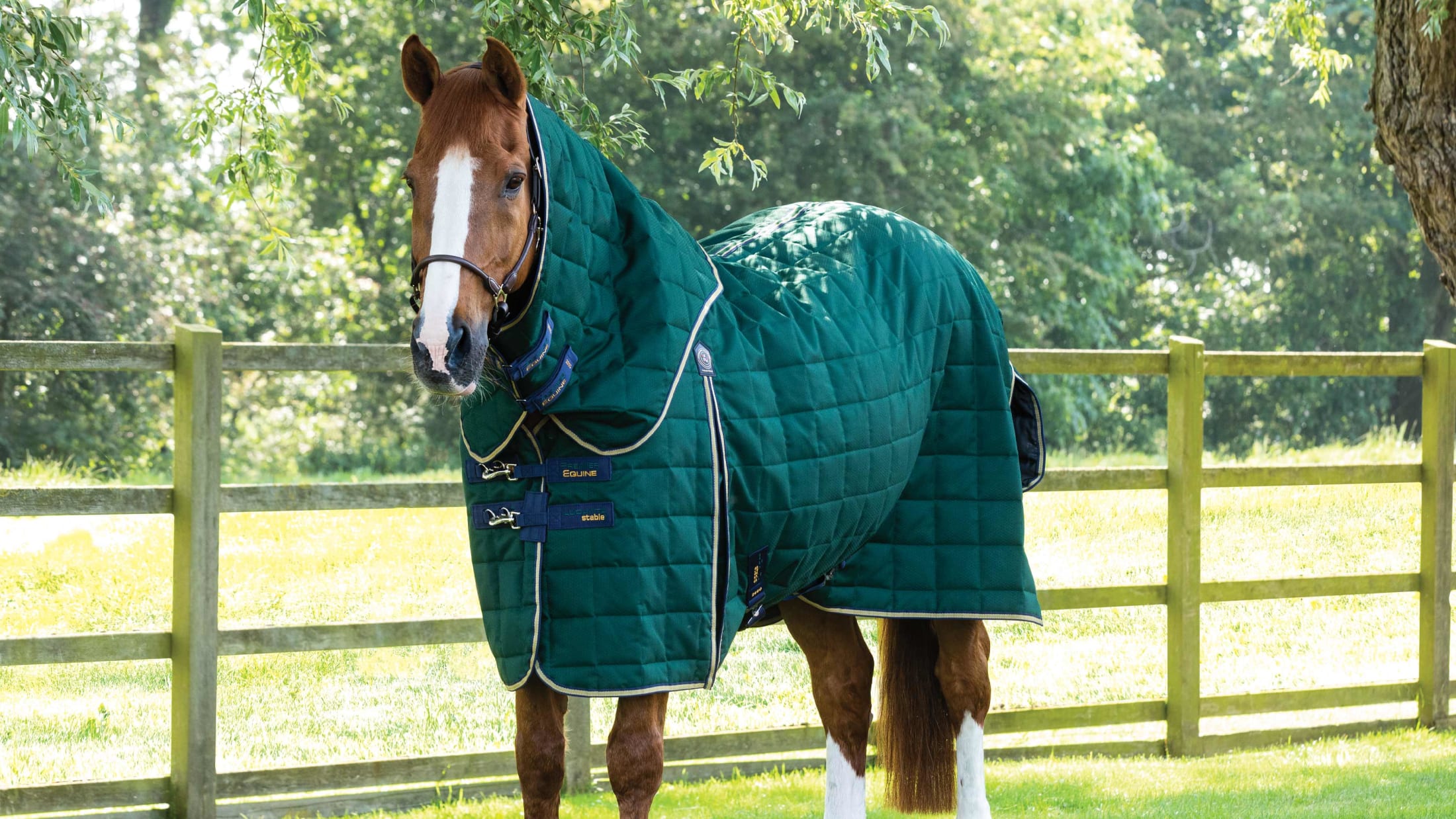 Stable Rugs – ROBYN'S TACK ROOM