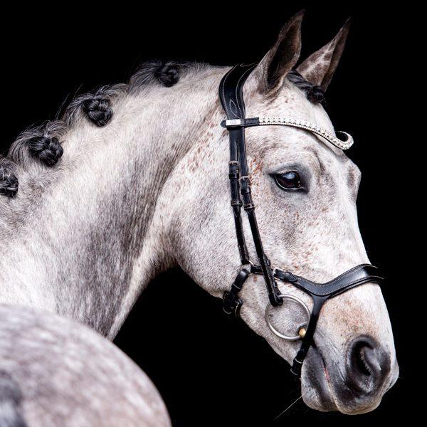 Robyn's Tack Room - Equestrian gear - Premier Equine – ROBYN'S TACK ROOM