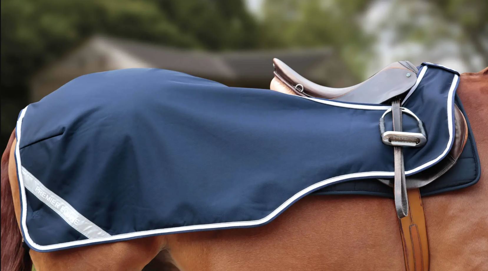 Horse Exercise Sheets – ROBYN'S TACK ROOM