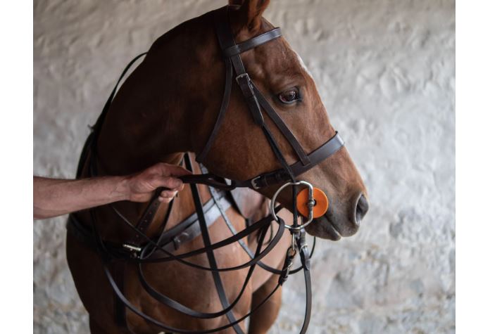 Bombers Running Gag Cheek Piece – ROBYN'S TACK ROOM