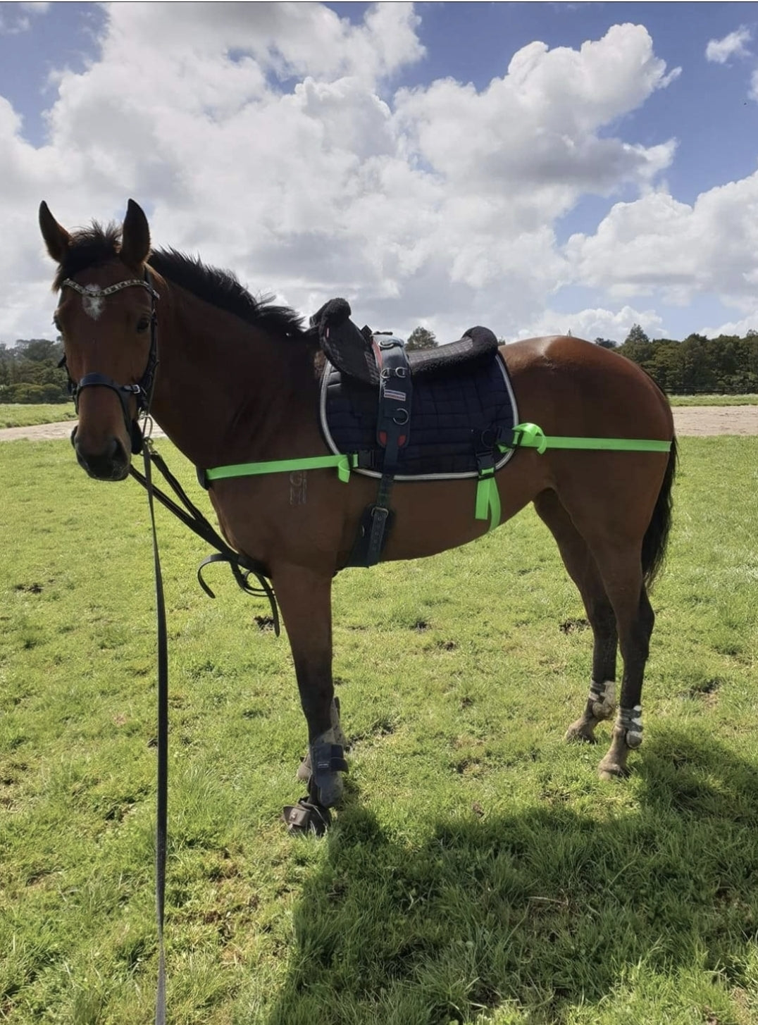 ETS Theraband Lunge System – ROBYN'S TACK ROOM