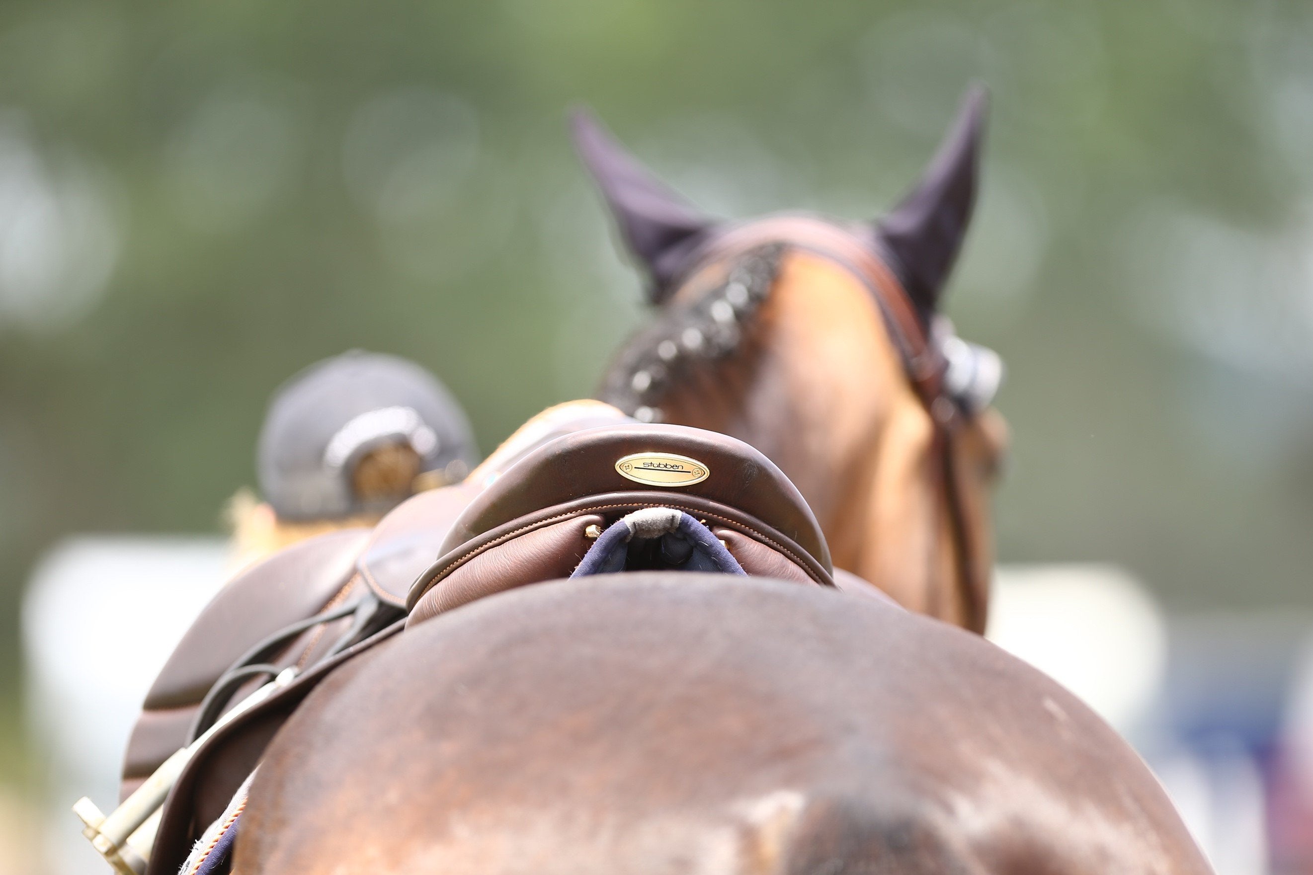 Robyn's Tack Room - Equestrian gear - Premier Equine – ROBYN'S TACK ROOM
